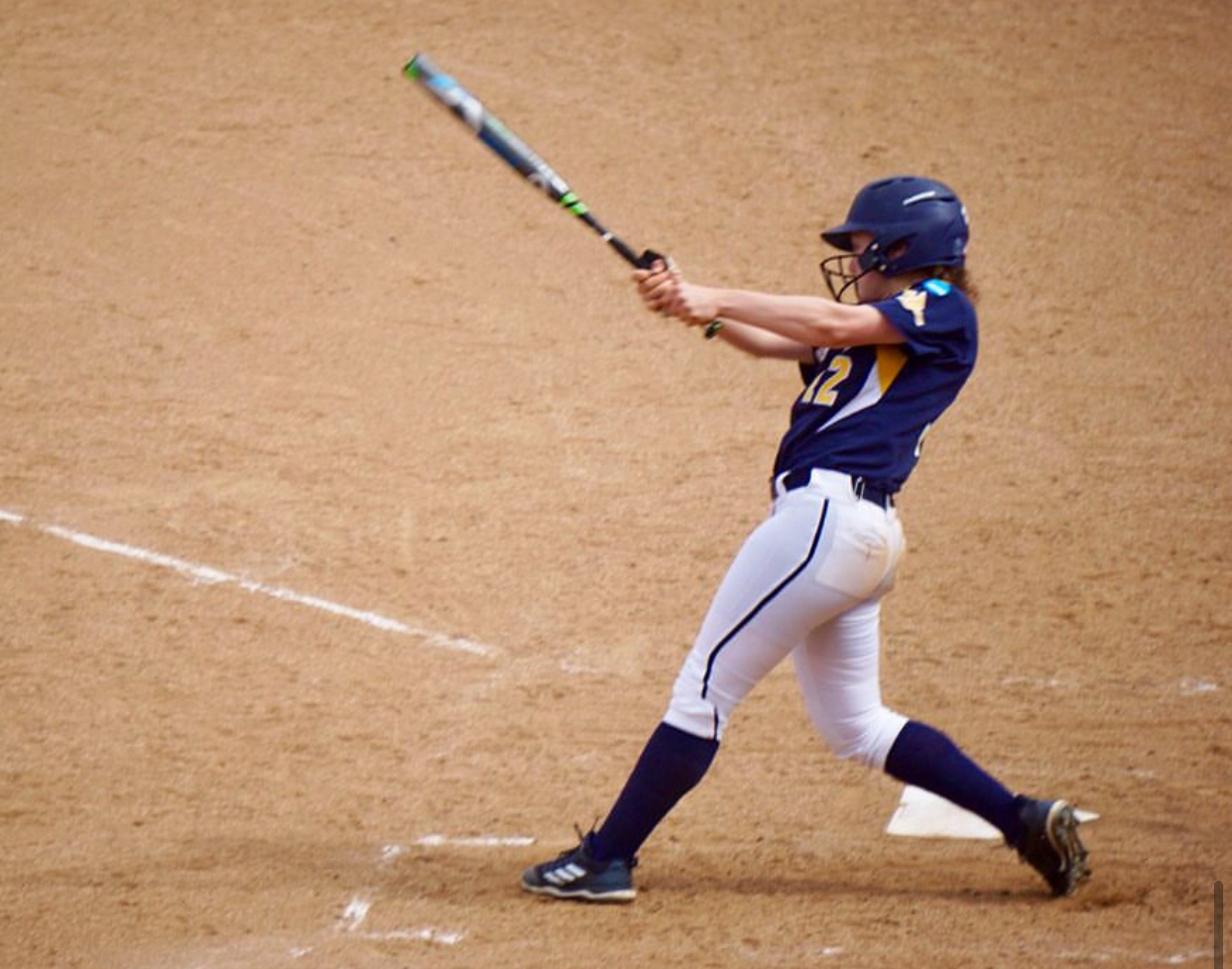 Blog - 365 Academy of Baseball